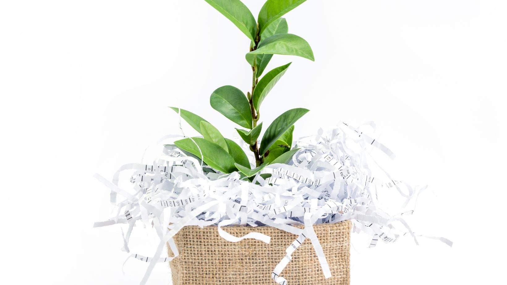 Secure Document Shredding in Your Spring Cleaning Routine